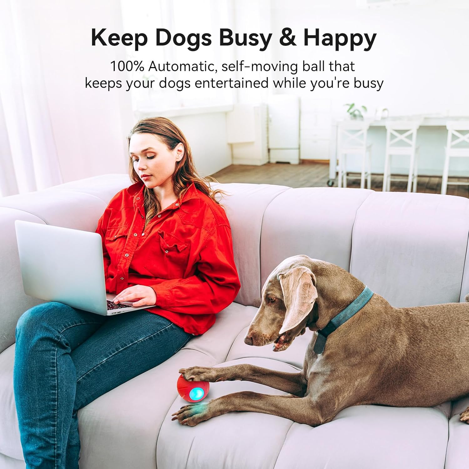 Enhanced rubber interactive dog ball- DogToyJoy