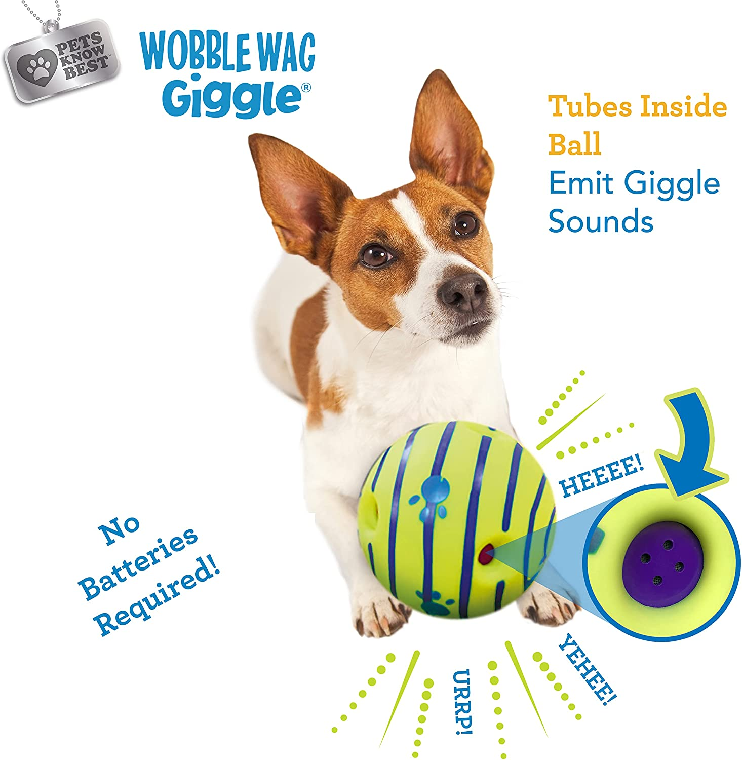 Interactive dog ball with fun giggle sounds- DogToyJoy