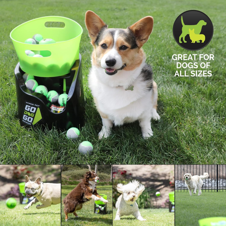 Automatic dog ball launcher with five balls- DogToyJoy